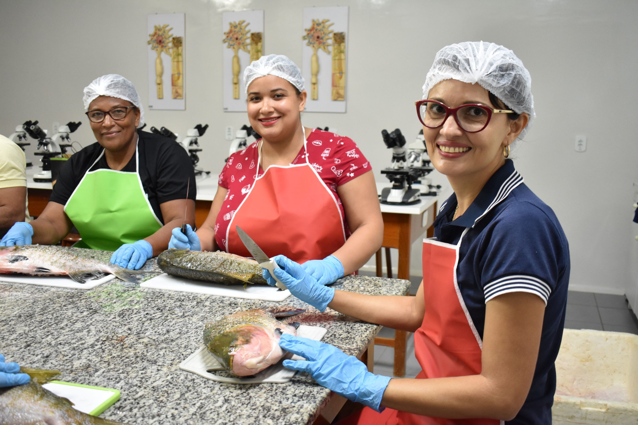 IV Semana de Agronomia