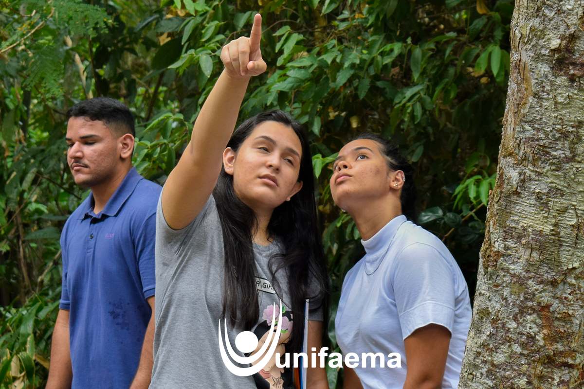 IV SEMAU - Semana de Arquitetura e Urbanismo "Amazônia"